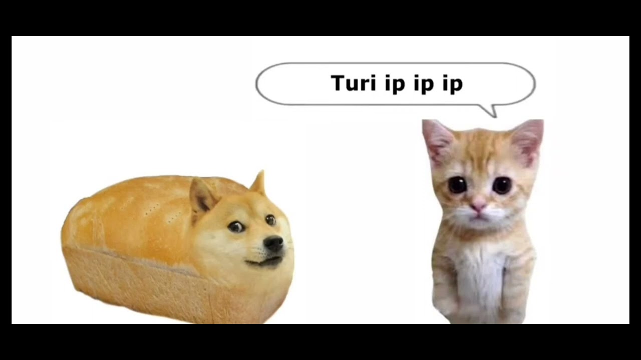 Turi ip ip ip VS Wenomechainsama - YouTube