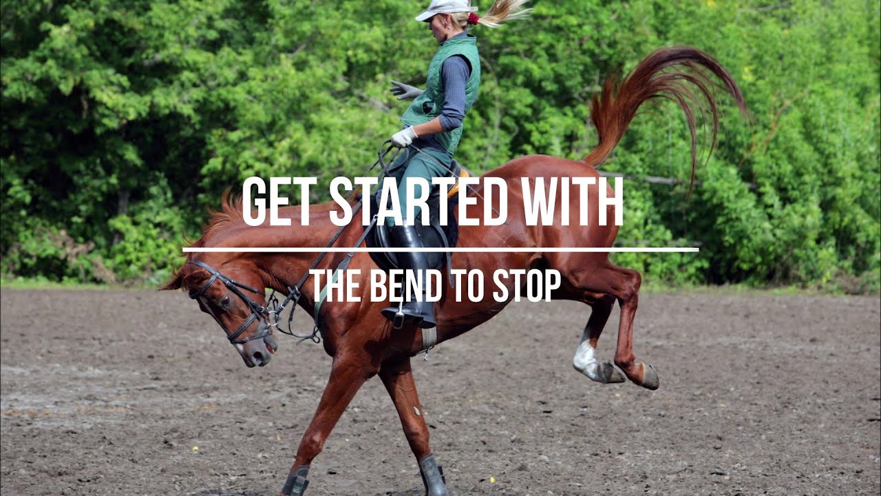 A safer way to stop horses - YouTube