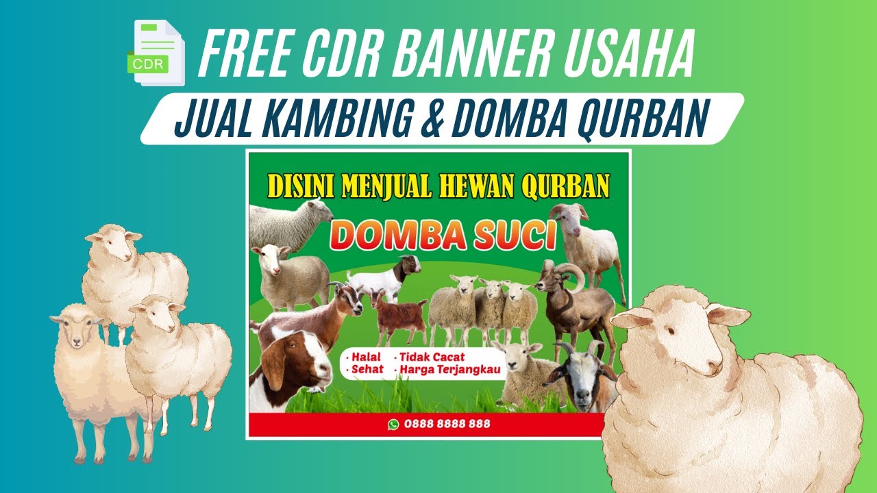 [FREE FILE CDR] BANNER QURBAN USAHA JUALAN KAMBING SAPI DOMBA - YouTube