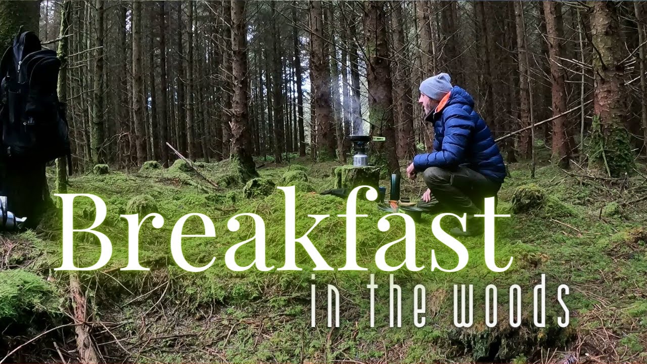 Breakfast in the woods | 1080p - YouTube