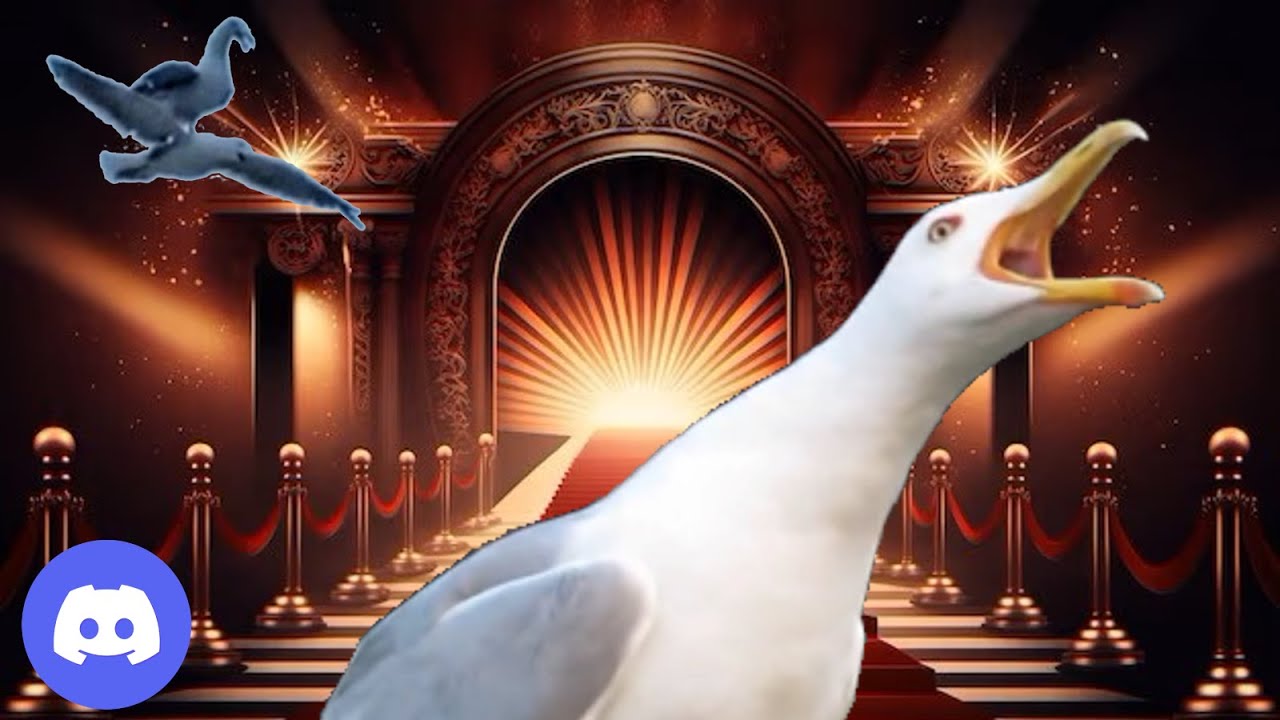 goofy ahh seagull awards - YouTube