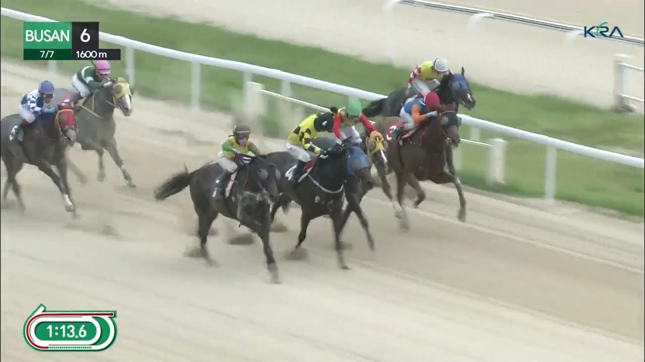 (Busan) 2024.07.07 R6 Class 4 (1600M) Handicap - YouTube