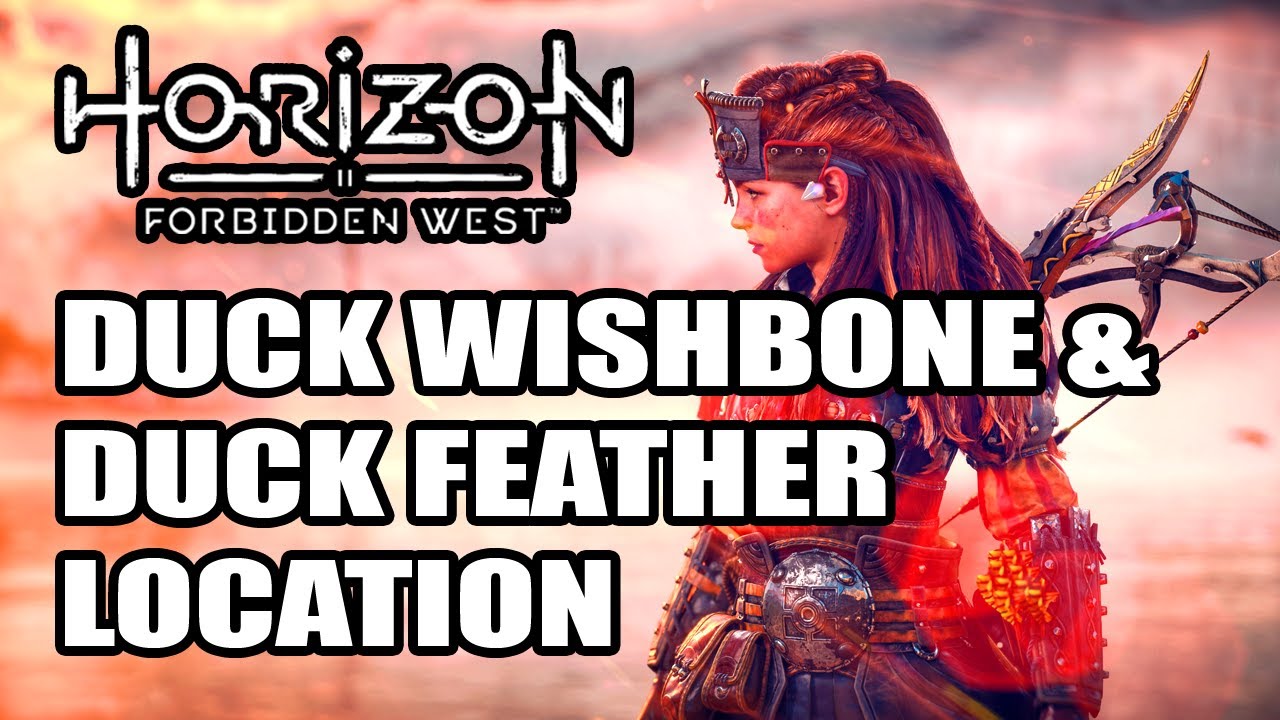 Duck Wishbone & Feather Location | Horizon Forbidden West - YouTube