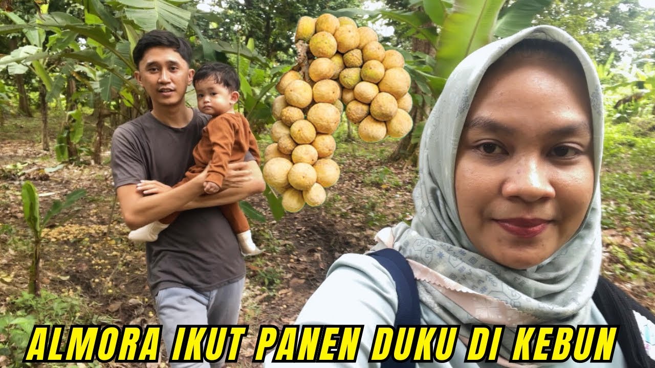 AL IKUT PANEN DUKU DI KEBUN - YouTube
