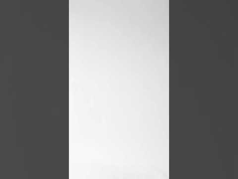 Digital Size Guide - L - Anne - Bodysuit