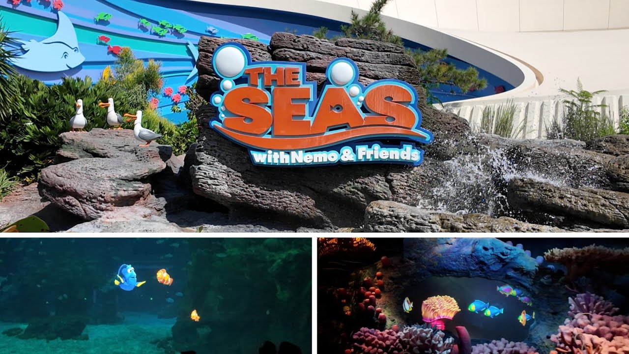 🐠 The Seas with Nemo & Friends Ride + Aquarium Tour | EPCOT 4K | Disney ...
