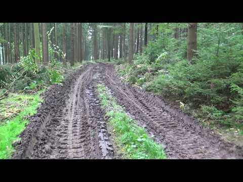 Verbote und Paragraphen und deren Realität im Wald