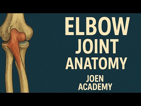 The Elbow Joint Simplify Version - A Good Anatomical Guide to the elbow ...