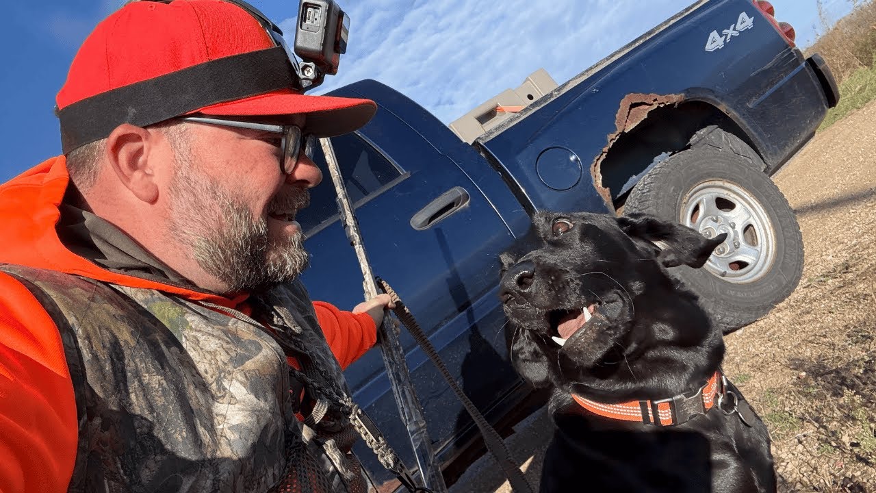 Pheasant Hunting in Wisconsin on public land with my 13 month old black ...