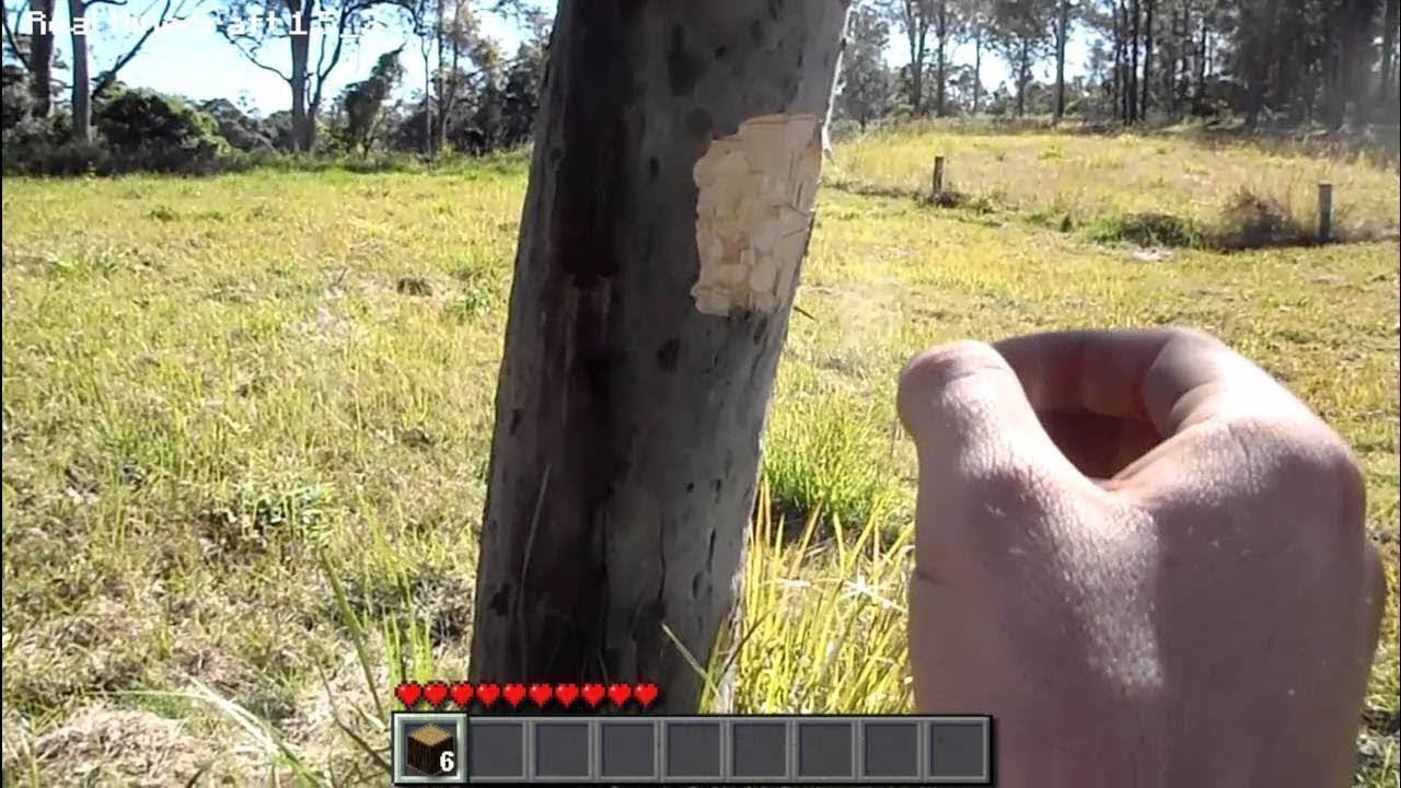 Realistic Minecraft in Real Life The BEST EPISODES / Minecraft in real ...