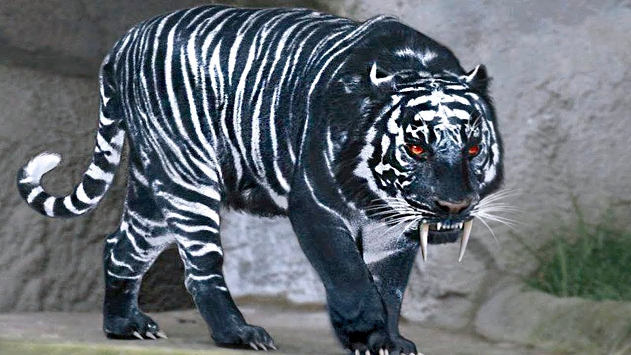 The Most Frightening Hybrid Animals - YouTube