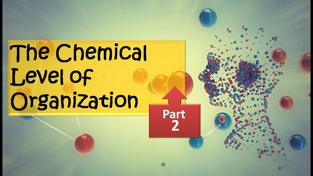 Lecture 3: The Chemical Level of Organization Part 2 - YouTube