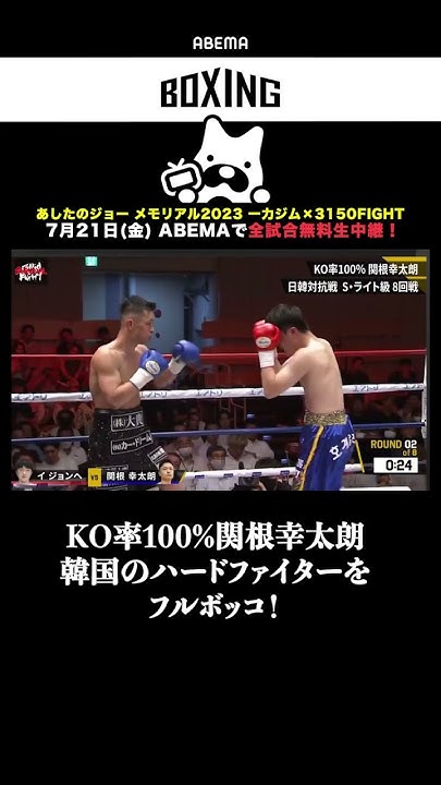 【ko率100 】会場に響き渡るパンチの連打音！関根幸太朗のko記録は今日も更新！続きはabemaで無料視聴 Shorts Youtube