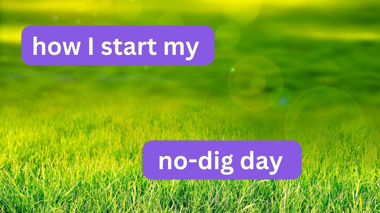 No-Dig Gardening: How My Day Starts - YouTube