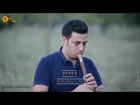 SEREN UÇAR. GULA ÇAVA TU HERİ.