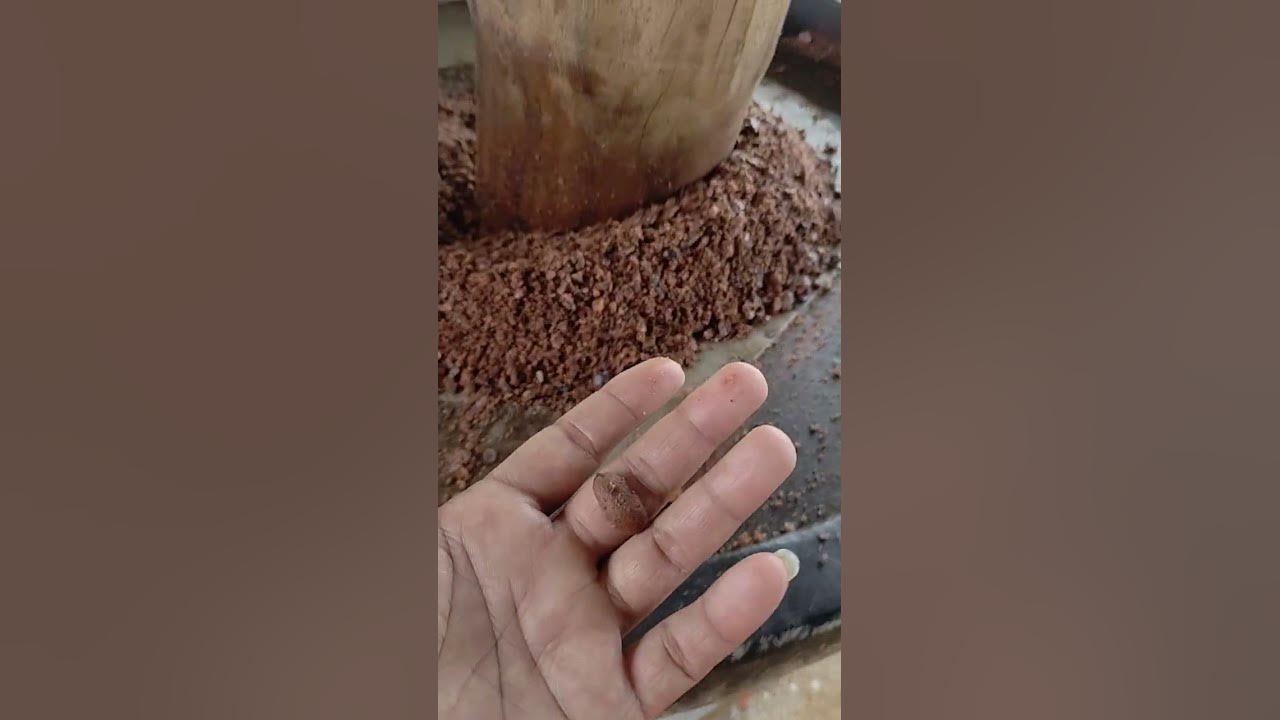 GANUGA OIL MILLING YouTube ganuga-oil-milling-youtube