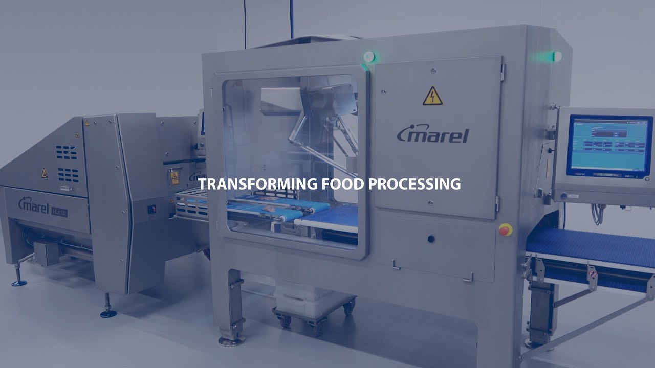 RoboOptimizer with I-Cut 122 for QSR strip production - YouTube