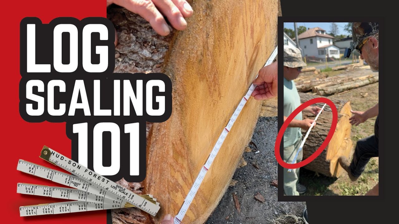 How to Scale Logs with a Doyle Log Ruler - YouTube