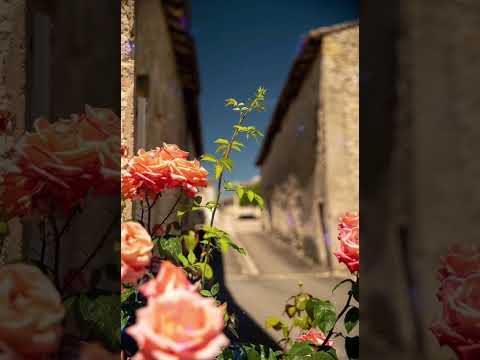 Beraber Yürüyelim Olur mu?! /İbrahim Tenekeci