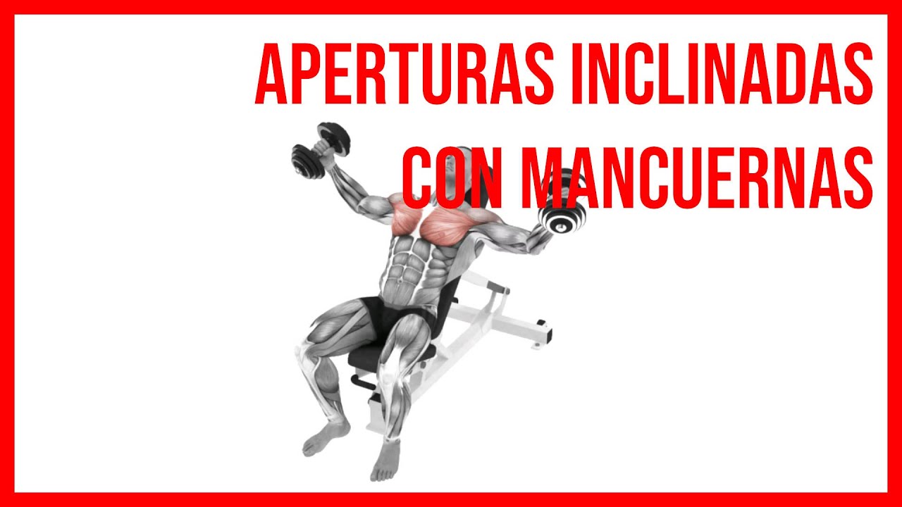 Aperturas Inclinadas con Mancuernas. EJERCICIOS PARA PECHO. - YouTube