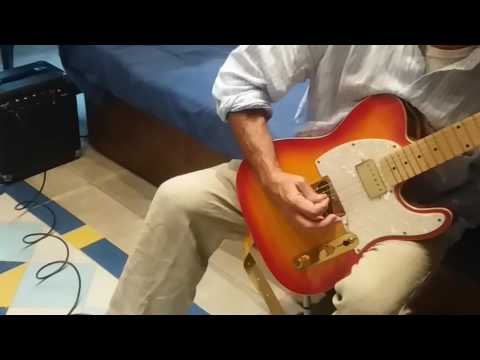 Casaleggio ' s blues di Paolo  Gastaldo