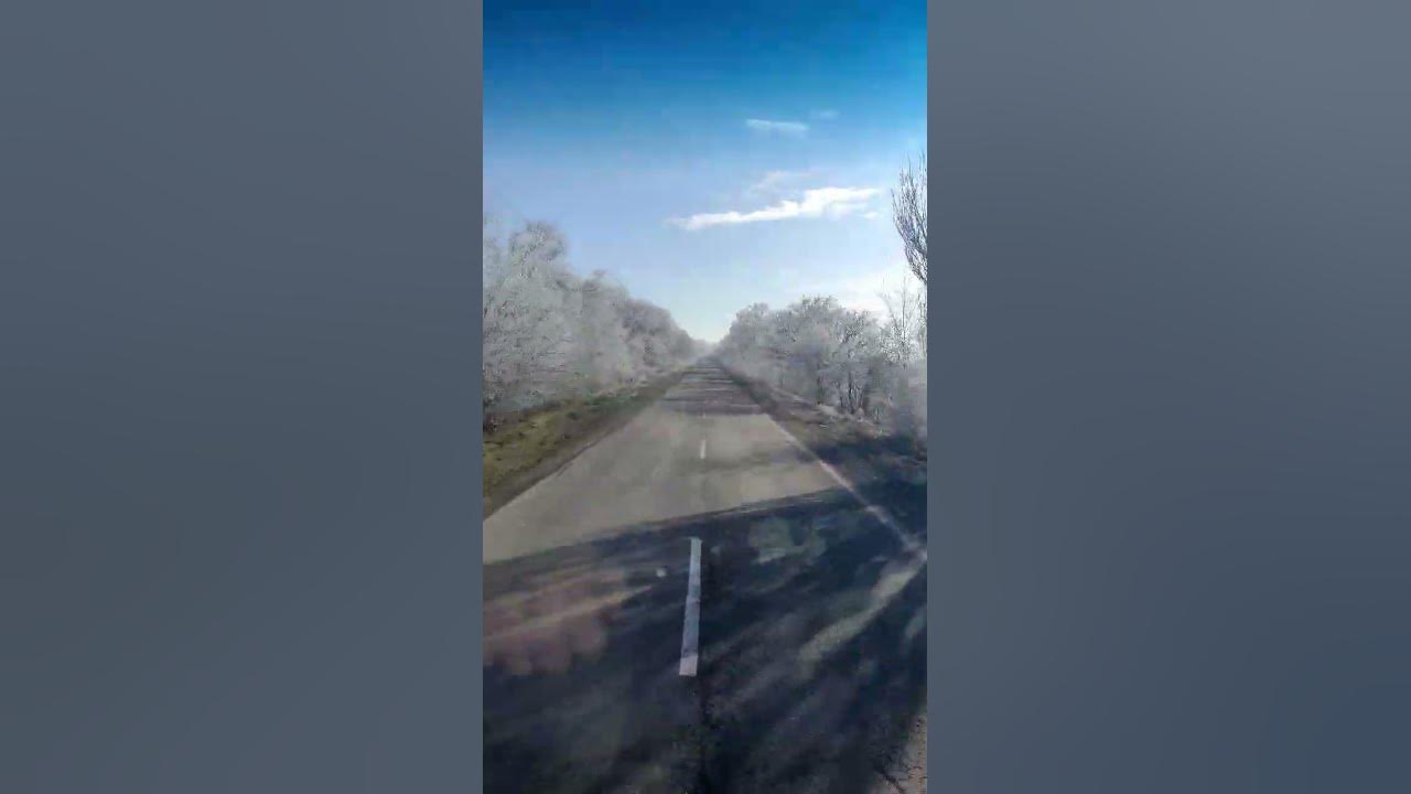 Гарно сонечко світить а дерева в інії гарногодня україна