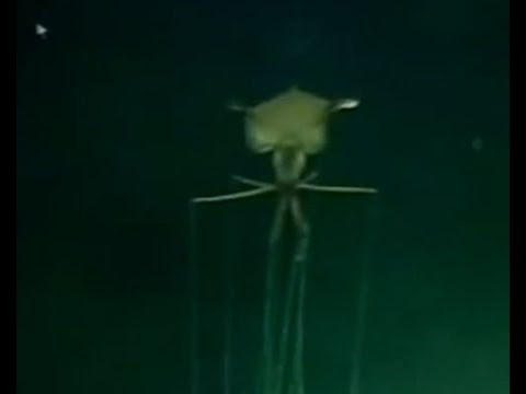 Strangest things found under water part 1 - YouTube