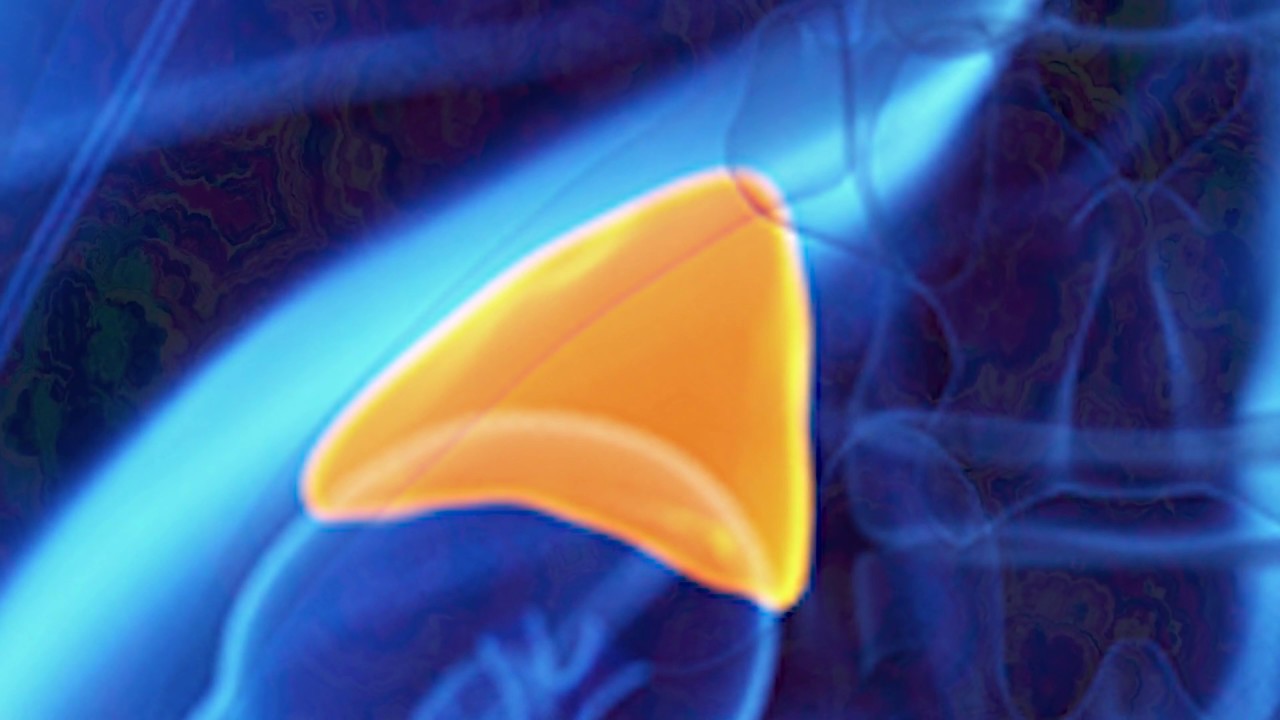 492.8 Hz - Digital Tuning Fork - YouTube