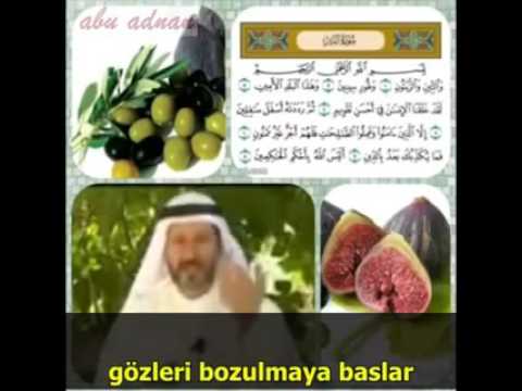 7 Japon Araştırmacının Müslüman olma hikayesi