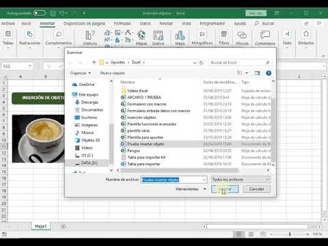 Video Excel. Insertar objeto. - YouTube