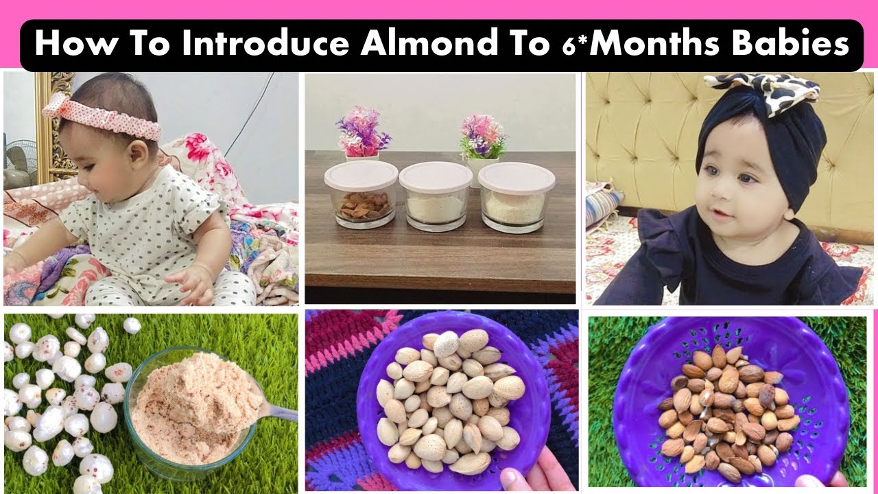 “How to introduce Almonds to Your Baby’s Diet” - YouTube