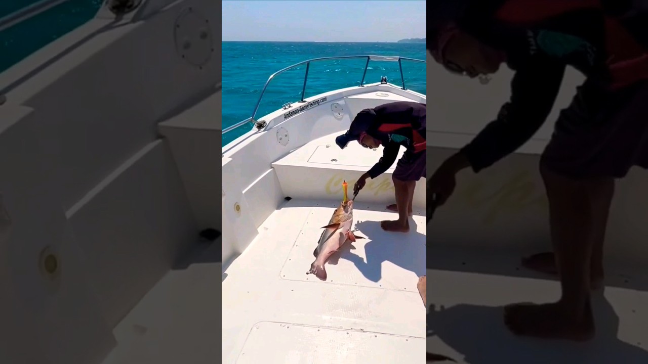 DENTICE RED SNAPPER dalla BARCA a POPPER #spinning #popping # ...