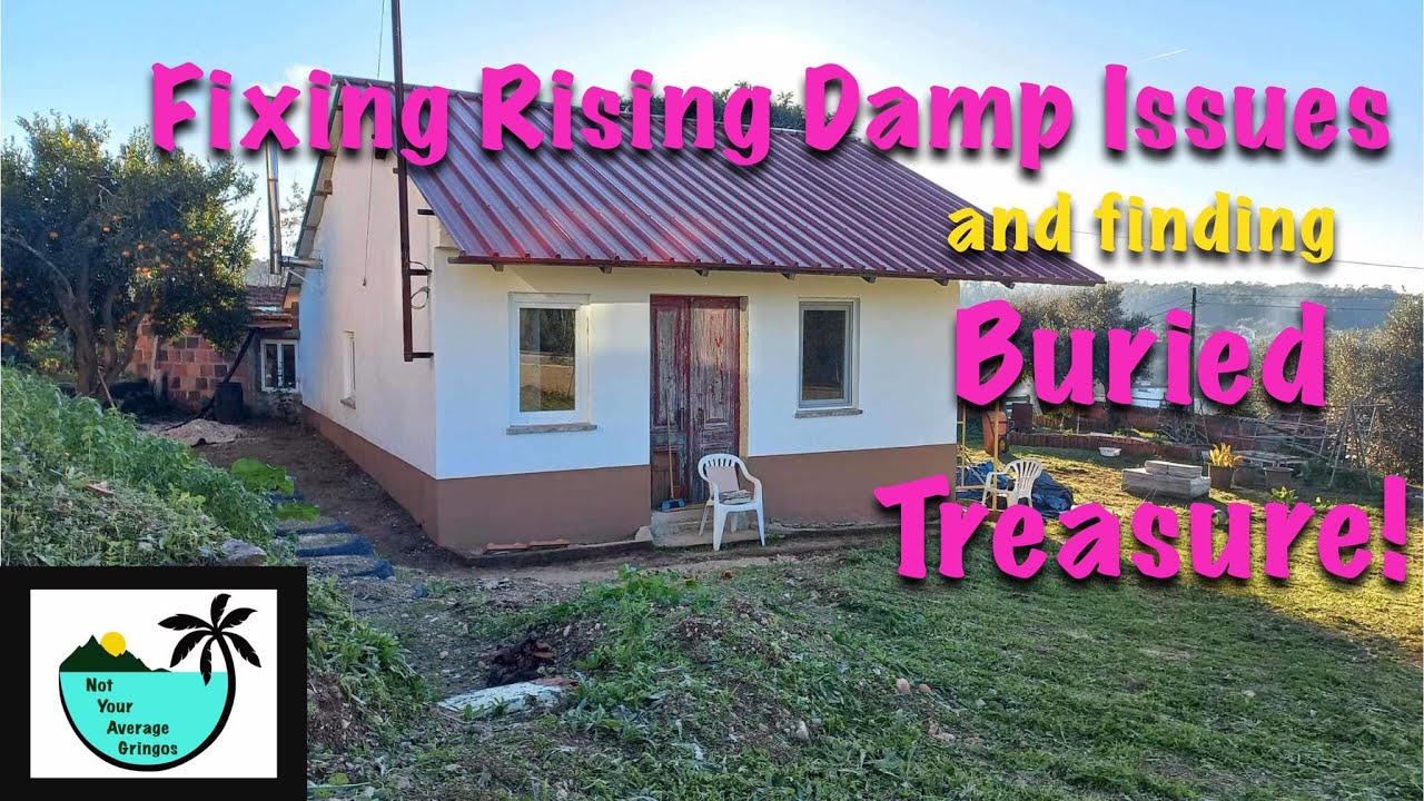 Fixing Rising Damp Issues & Finding Buried Treasure! Renovating our ...