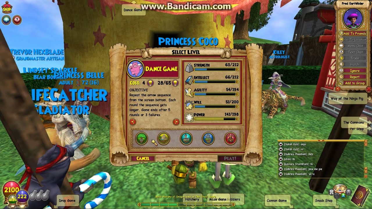 Wizard101 Storm Pet Training Episode 1 - FAIRY!!! - and life shot ...