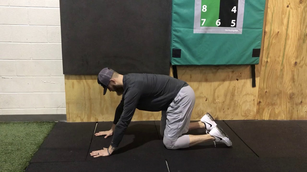 Quadruped Rockback Assessment - YouTube