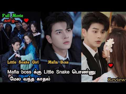 🔥Mafia Boss க்கு Little Snake பொண்ணுமேல love வந்துருச்சி.. Cute comedy love...drama explain in tamil