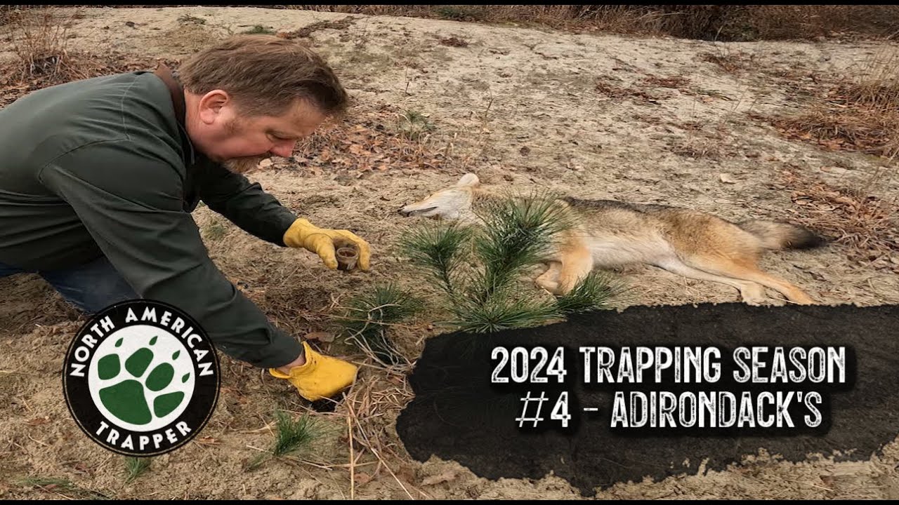 2024 Trapping Season #4 ~ ADIRONDACK MTNS ~ North American Trapper ...