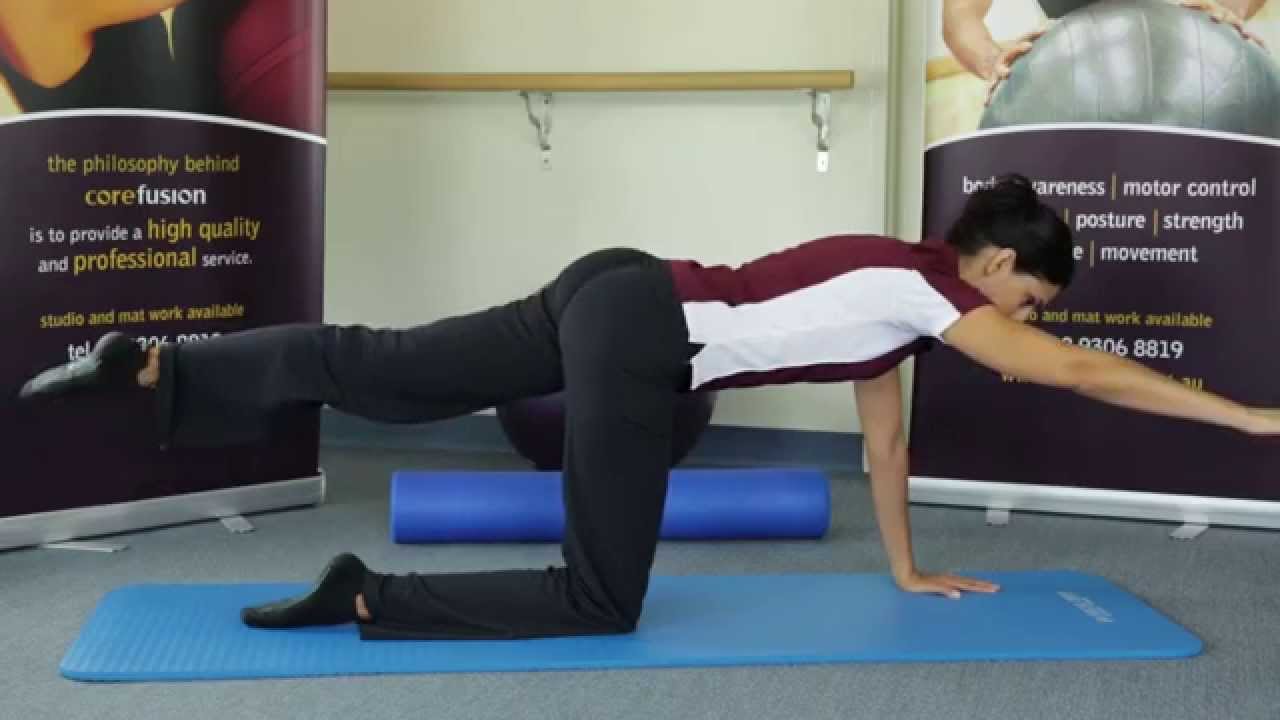 Quadruped - Pilates on all fours - YouTube