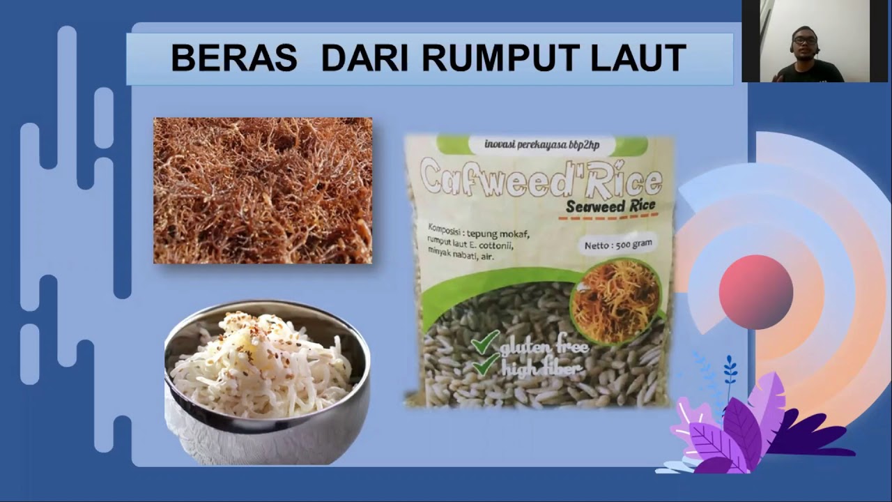 BERAS ANALOG DARI RUMPUT LAUT SEBAGAI SOLUSI BAGI PENDERITA DIABETES ...