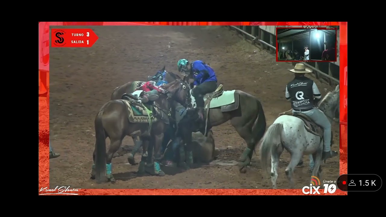 Toros Coleados 2023 millonario de coleo Maturin día viernes buen turno ...