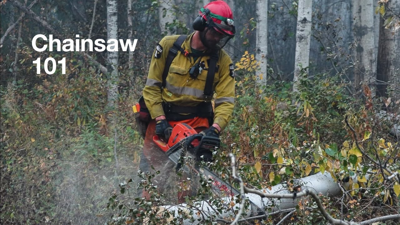 Chainsaw 101 - YouTube
