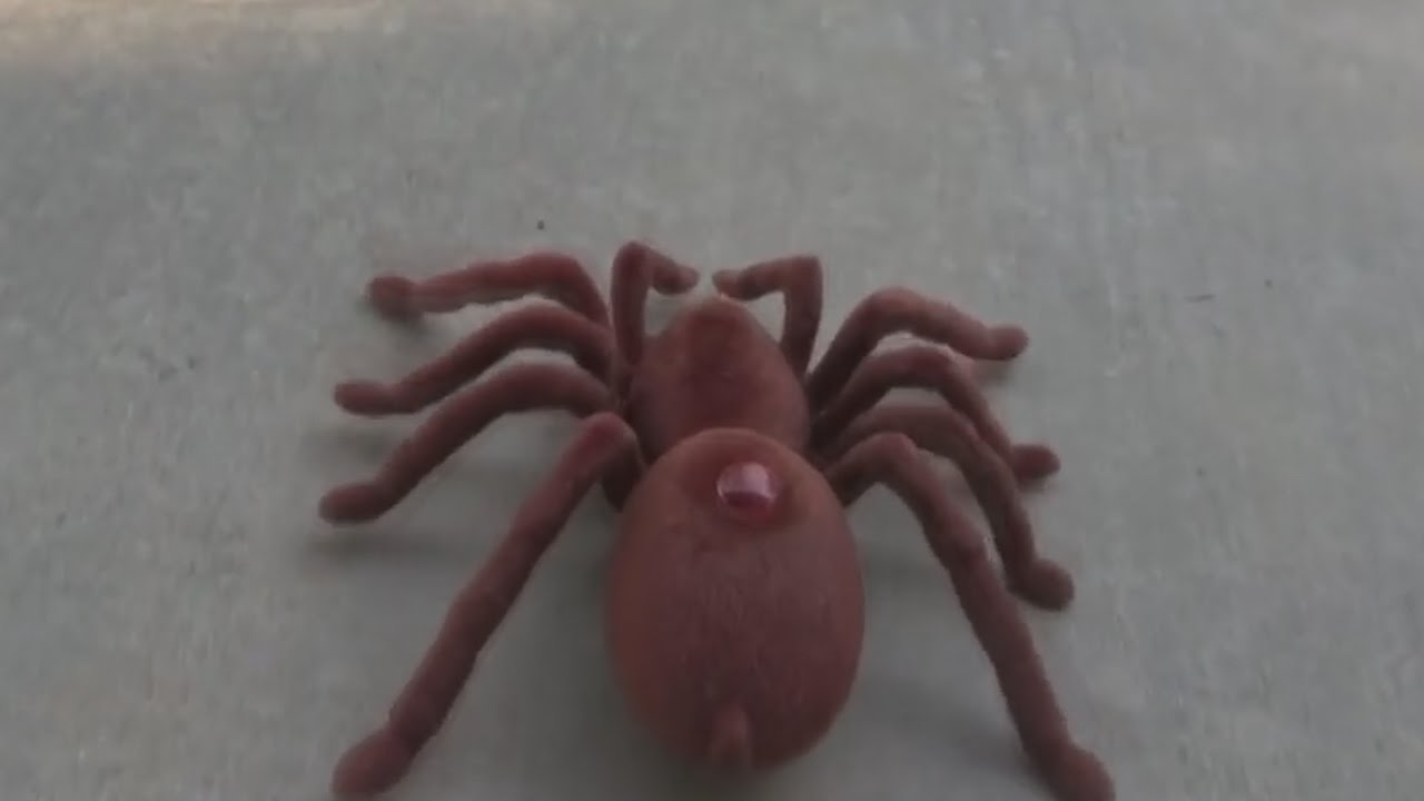 Animal Planet Giant Insect Adventure! Fun Bug Toys for Kids! - YouTube