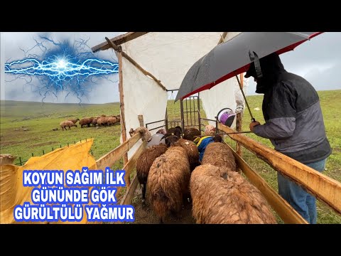 GÖK GÜRÜLTÜLÜ YAĞMUR GÜNDÜZ BAŞLAYIP GECE UYUTMADI--SIRAYLA NÖBET TUTTUK