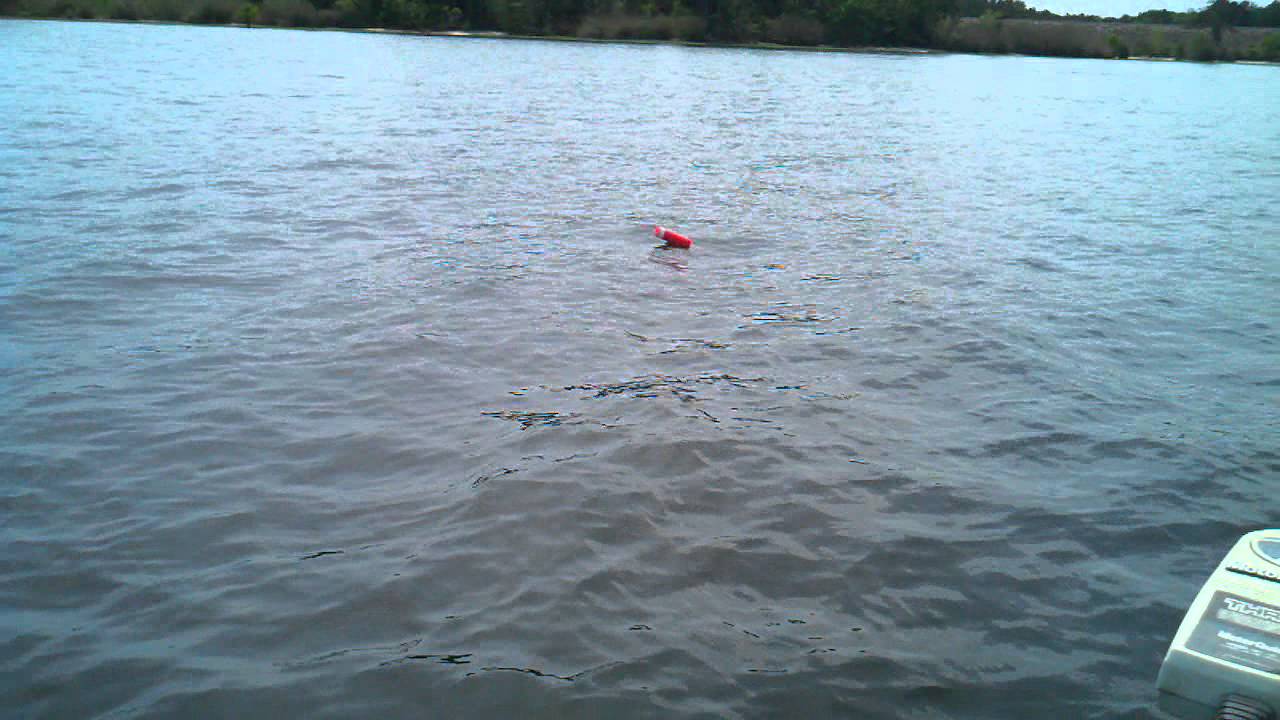 Noodle Fishing For Catfish - YouTube