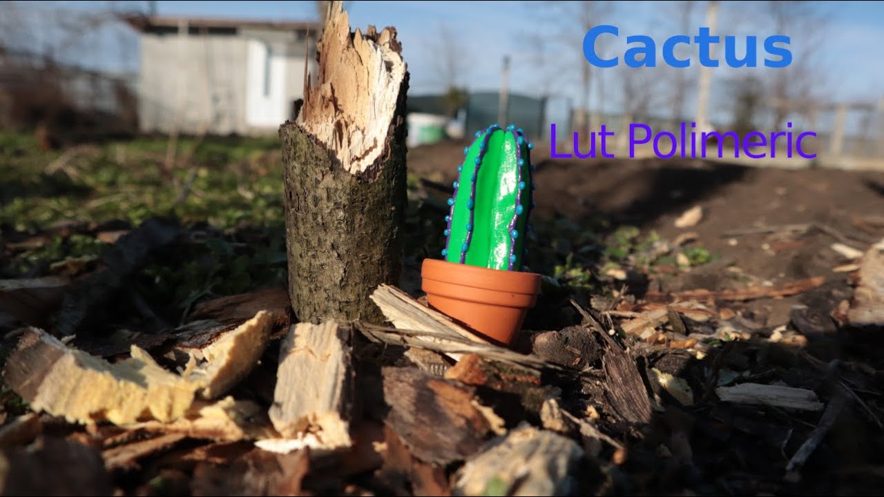 Cactus din lut polimeric - YouTube