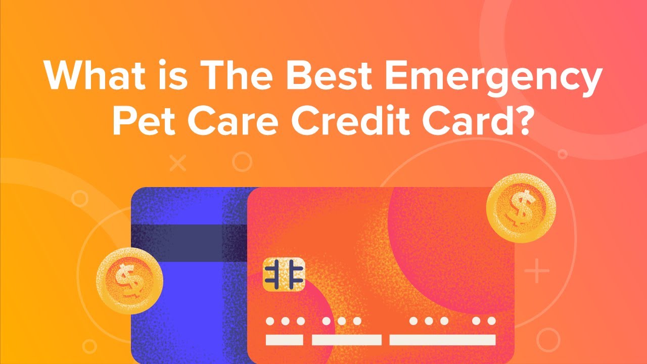What is The Best Emergency Pet Care Credit Card? - YouTube