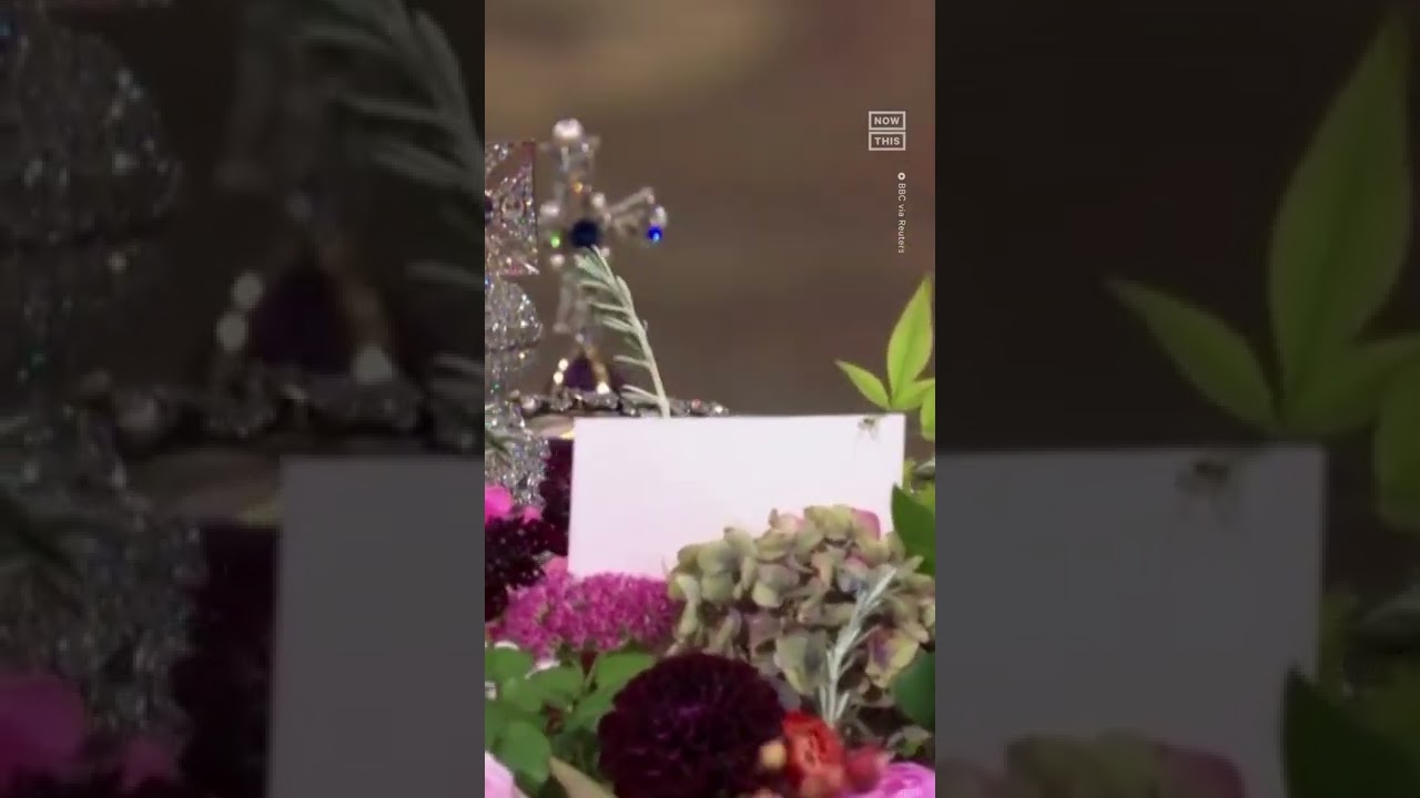Spider Rides on Queen Elizabeth II's Casket & Goes Viral - YouTube
