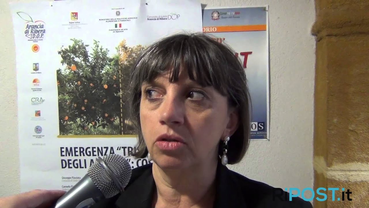 Emergenza tristezza degli agrumi, intervista alla Dott.ssa Rosaria ...