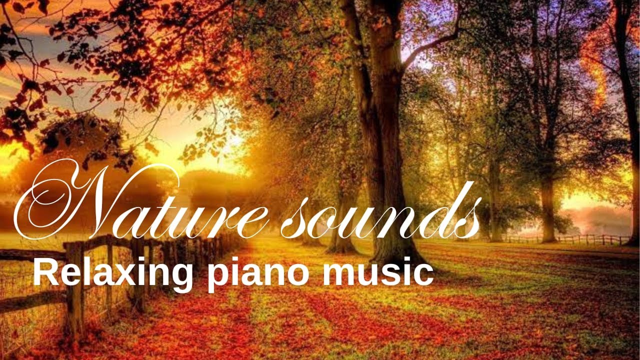 Peaceful Music for Mind Relaxation, Nature Sounds for Stress Relief ...