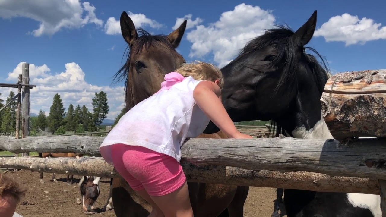 2019 Triangle X Cora and Lilly - YouTube